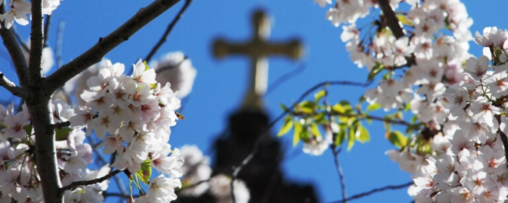 Catholic Communication Campaign