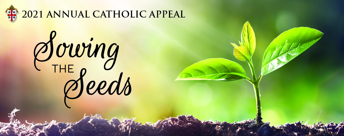 Sowing the Seeds 2021 Annual Catholic Appeal
