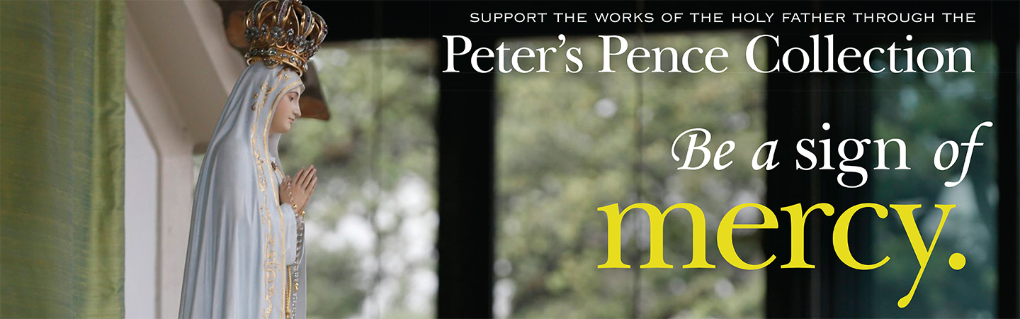 Peter's Pence Collection