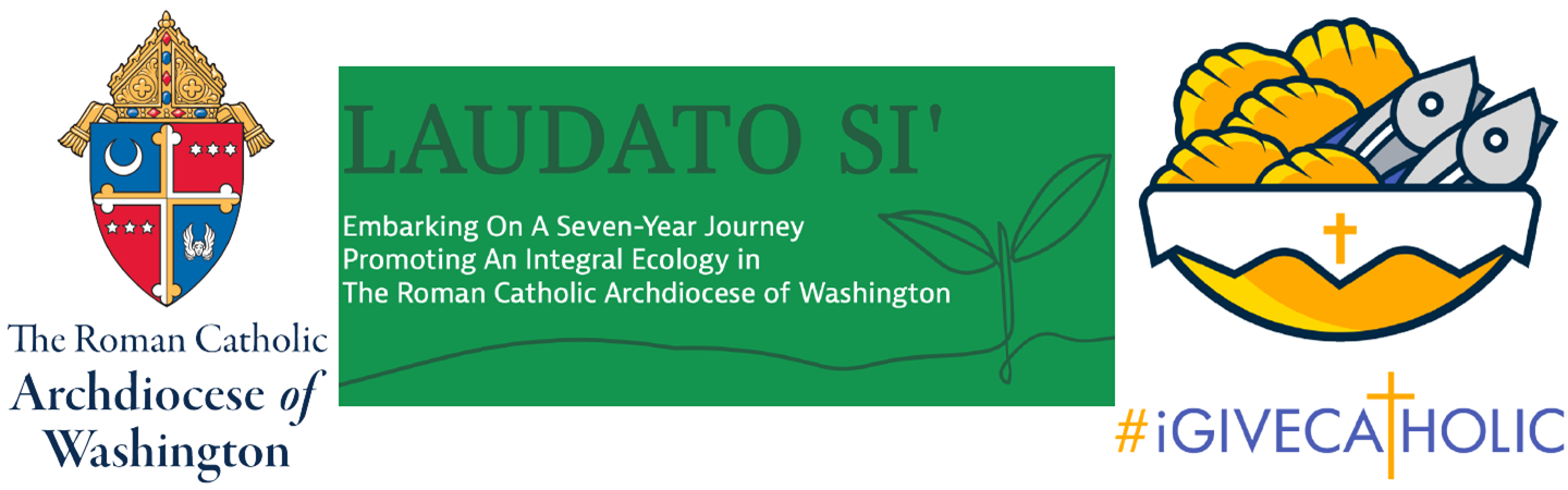 The Roman Catholic Archdiocese of Washington